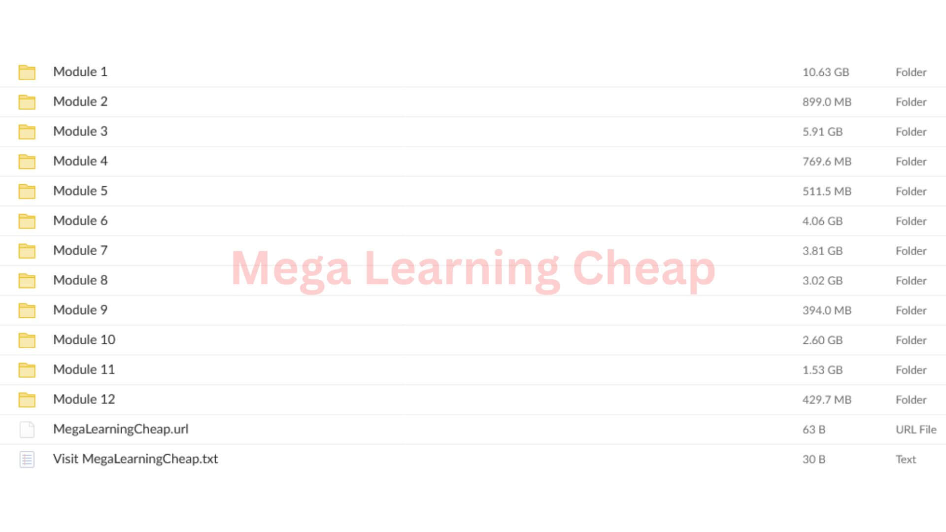 Anthony Metivier – Magnetic Memory Method Masterclass