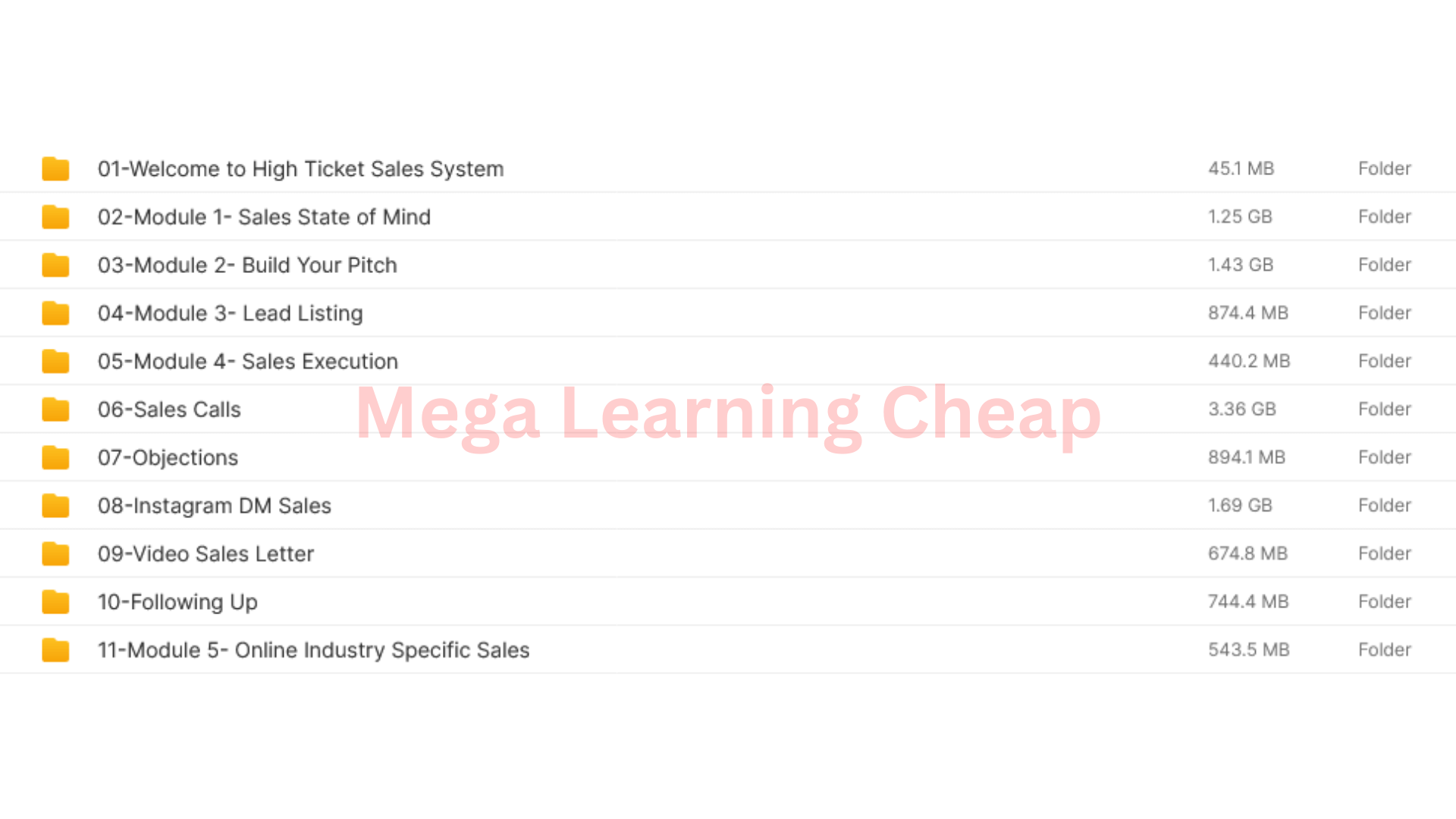 Shannon Matson – High Ticket Sales System