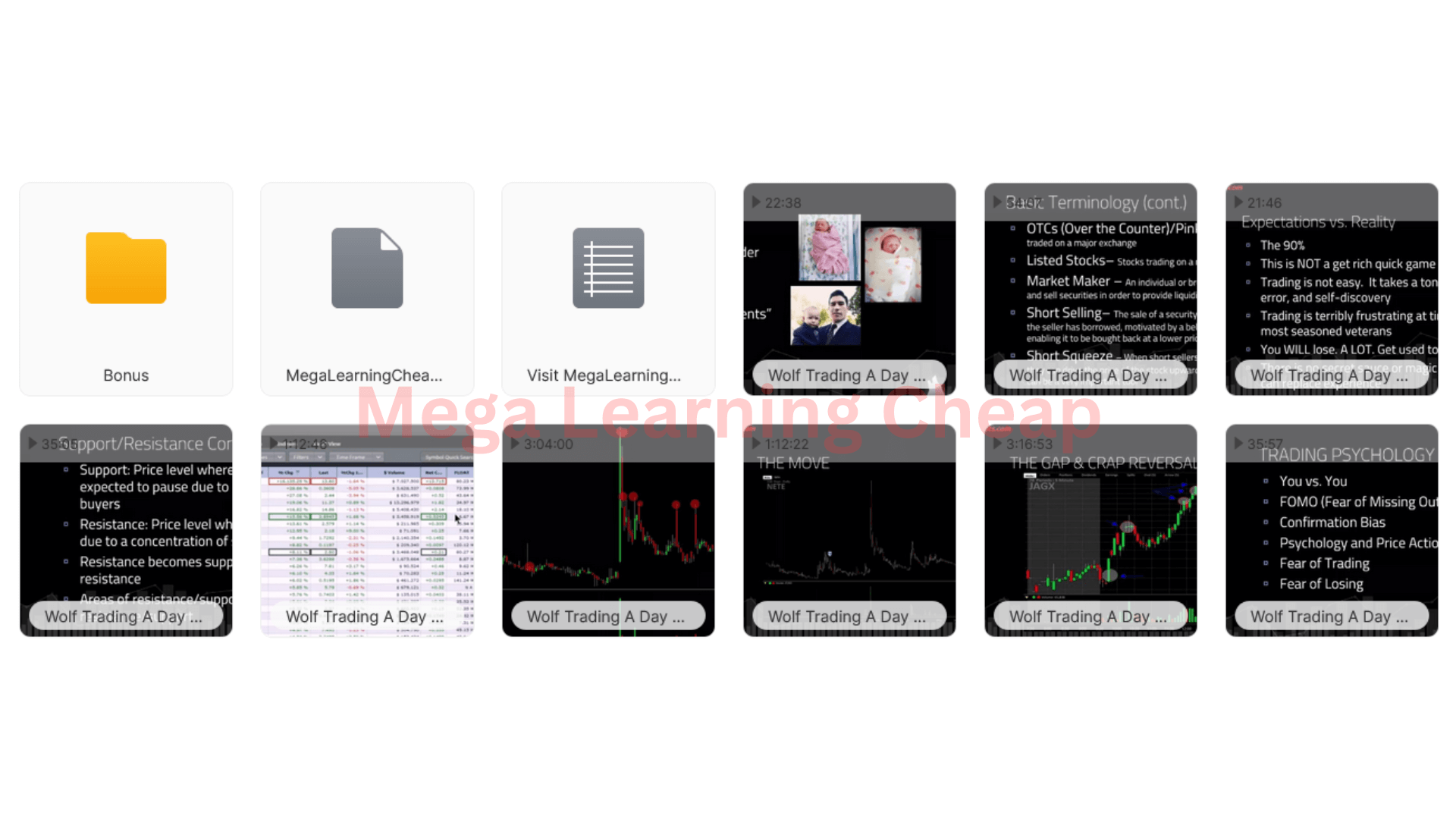 Wolf Trading Course – Day Trading Guide