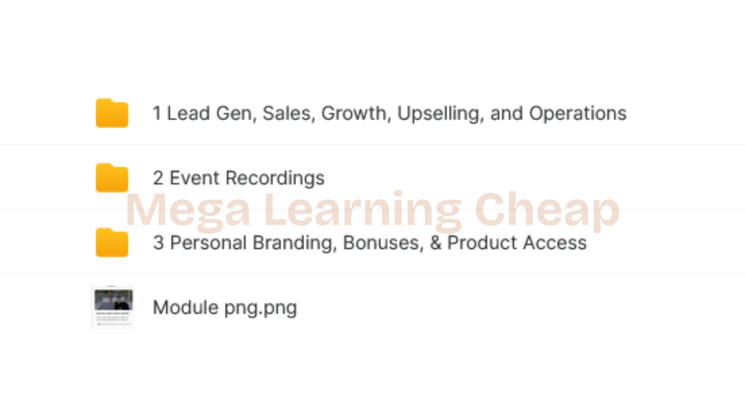 Troy Ericson – Dom’s Income Accelerator